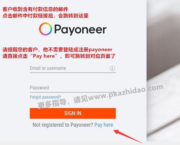 Payoneer如何收海外的信用卡付款和转账
